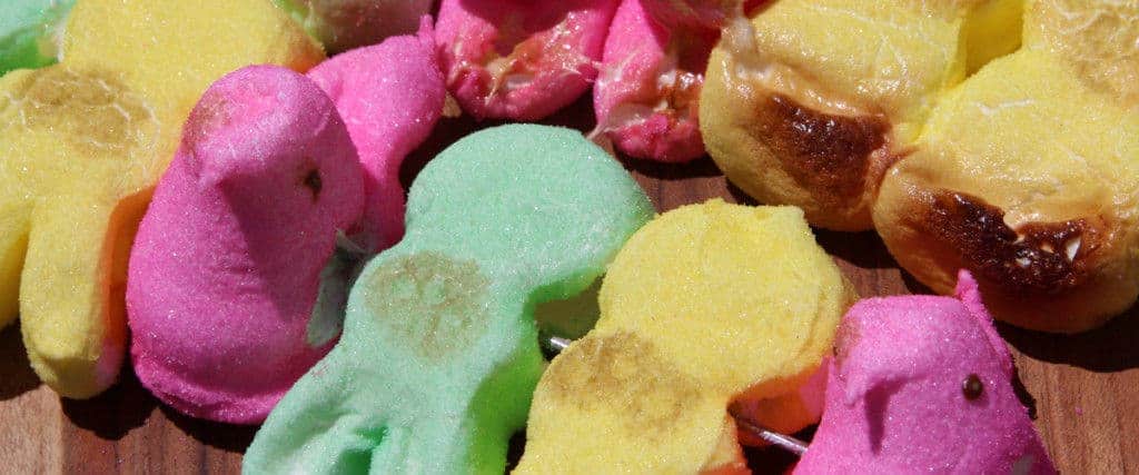 Grilled Peeps | Ultra Modern Pool and Patio